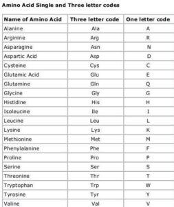 Amino Acid (types and classification) - Biology - BioChemiThon