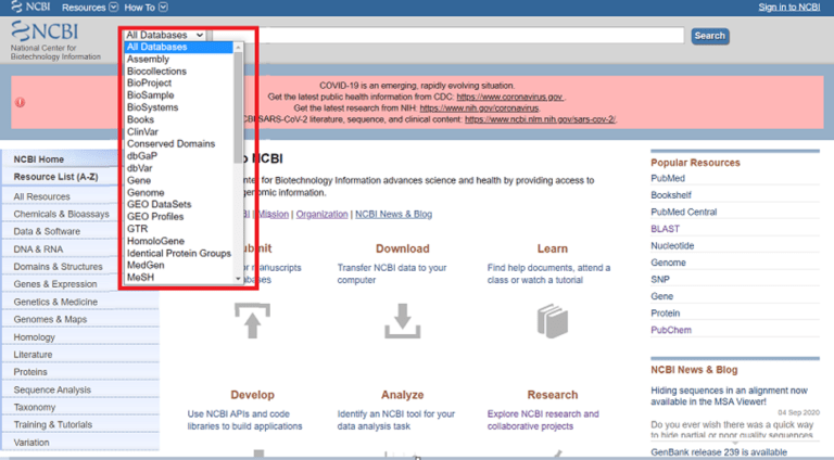 NCBI (National Center for Biotechnology Information) - BioChemiThon