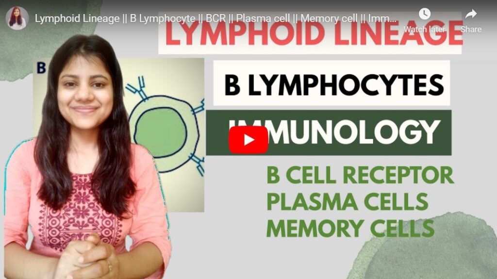 Cells of Lymphoid Lineage - Biology - BioChemiThon