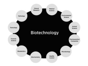 Career options in Biotechnology - BioChemiThon Biology