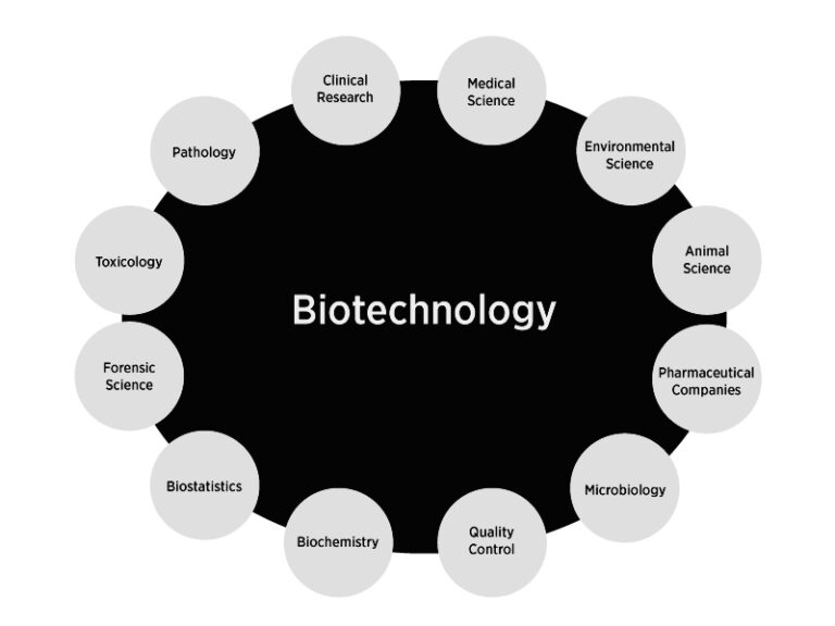 Career options in Biotechnology - BioChemiThon Biology